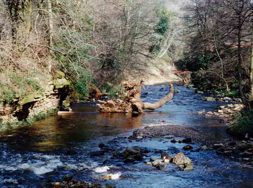 Extending Roddie Campbell’s ‘Colinton Dell’ with two new parts – pipes ...